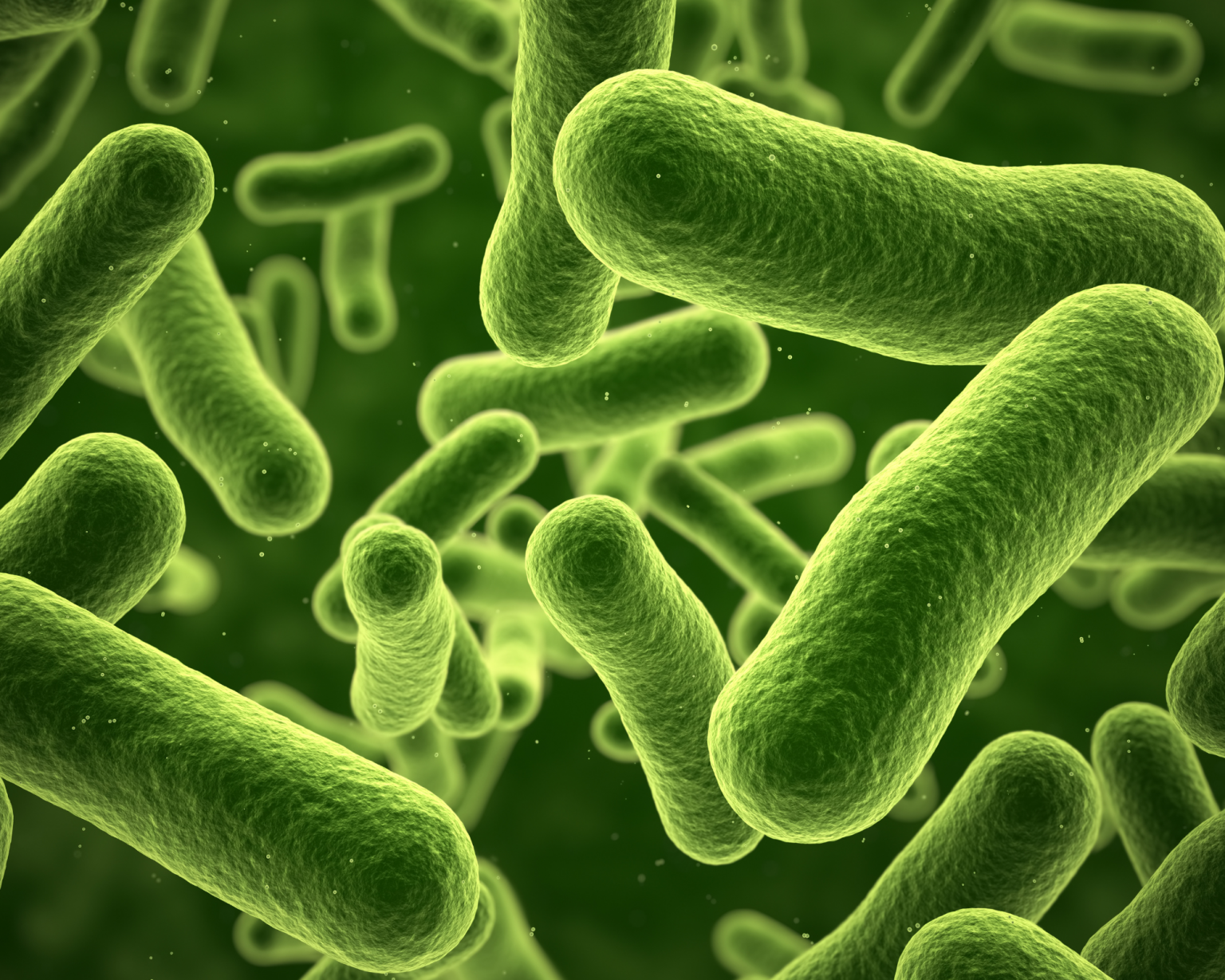 The relationship between your acne and bacteria - All About Acne